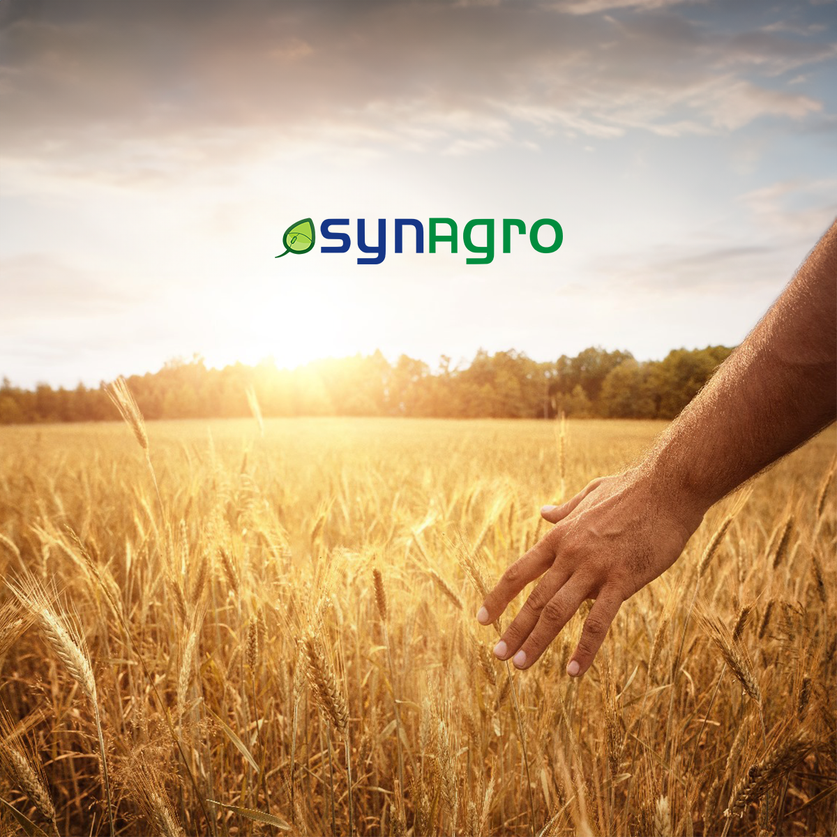 Todos los cursos | Experiencia Synagro