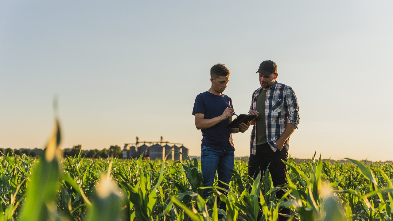 Todos los cursos | Experiencia Synagro