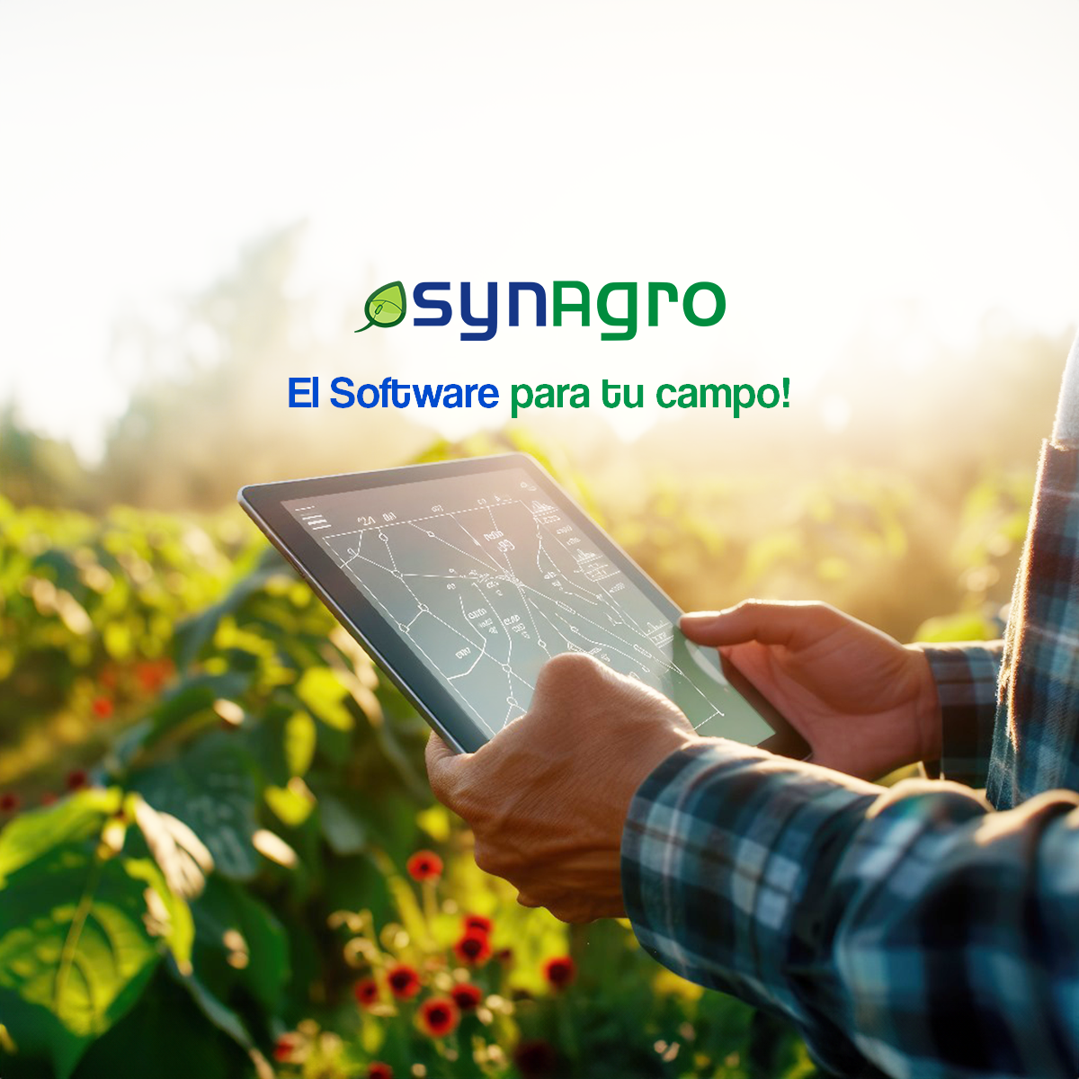 Todos los cursos | Experiencia Synagro